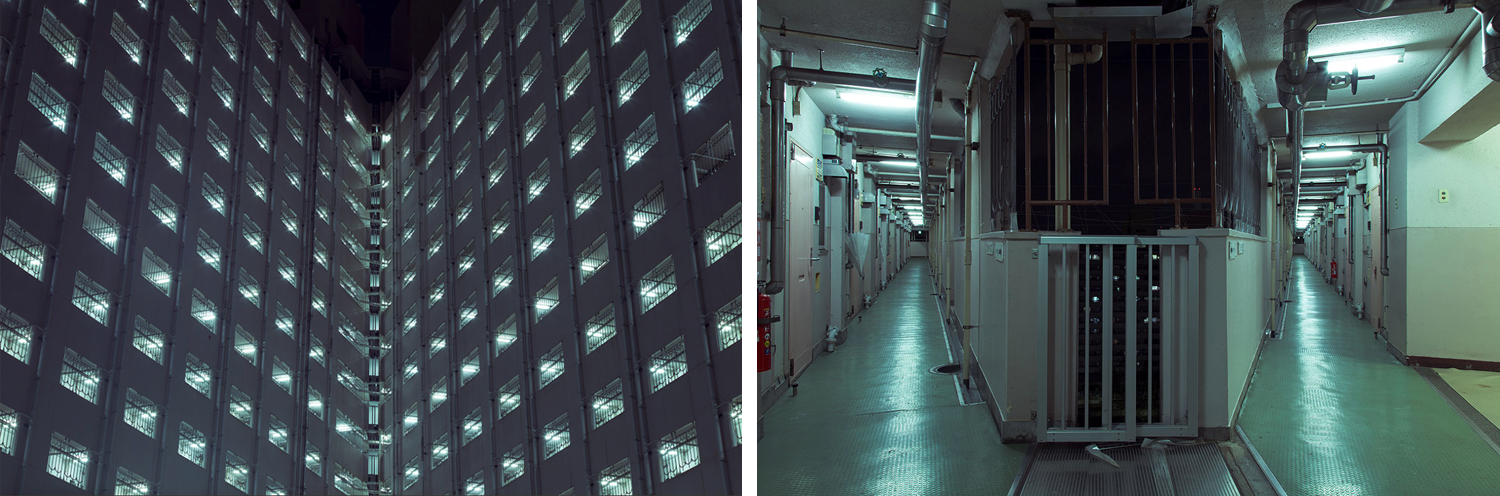 Godzilla e o Sonho Danchi da Moradia – Duplo Expresso